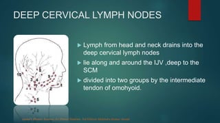 Lymphatic drainage of head and neck | PPTX