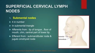 Lymphatic drainage of head and neck | PPTX