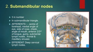 Lymphatic drainage of head and neck | PPTX