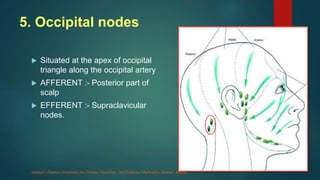 Lymphatic drainage of head and neck | PPTX