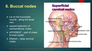 Lymphatic drainage of head and neck | PPTX