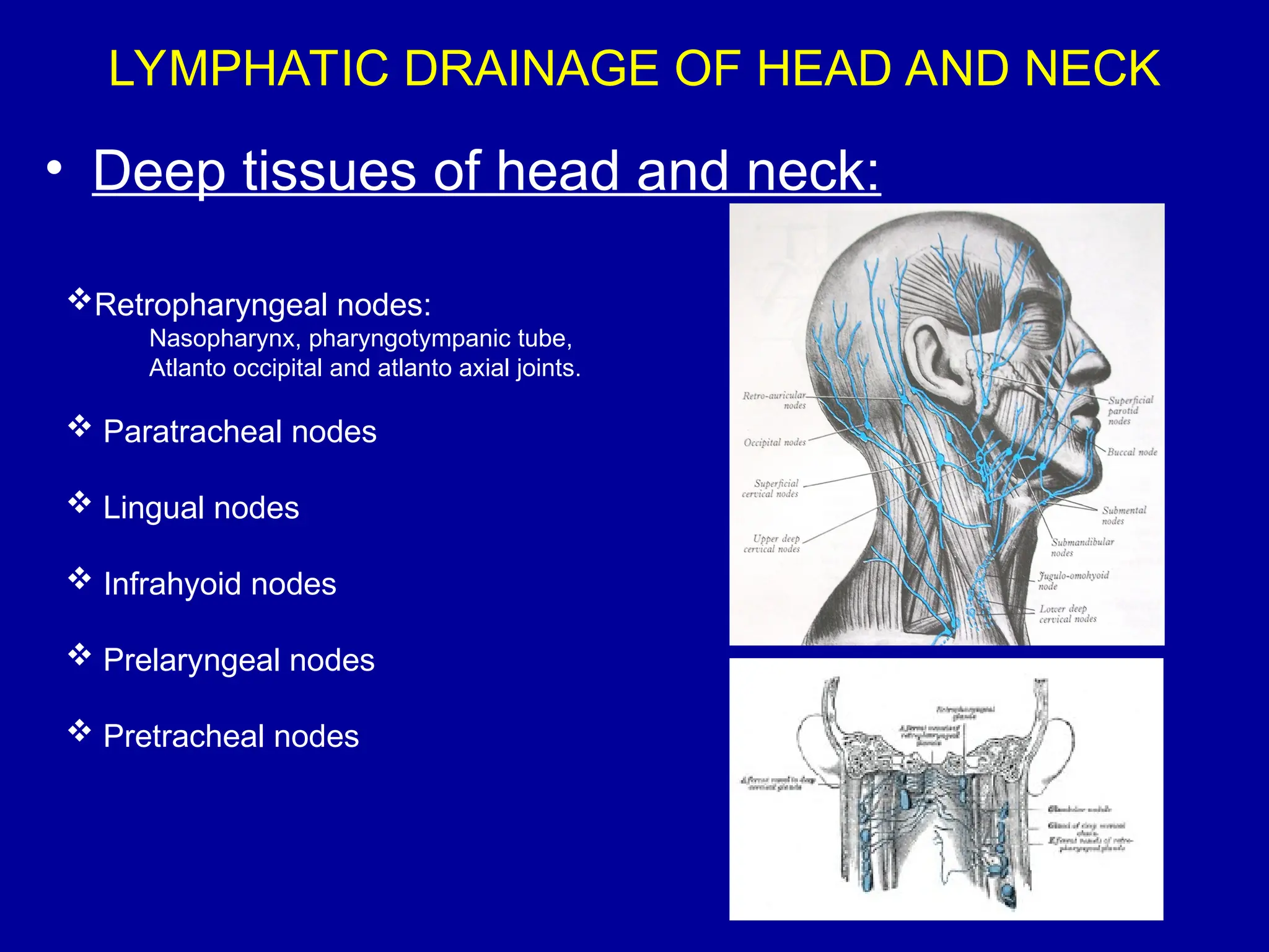 LYMPHATIC DRAINAGE OF HEAD AND NECK.,lymph fluid | PPT