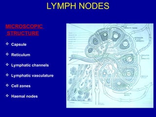 LYMPHATIC DRAINAGE OF HEAD AND NECK.,lymph fluid | PPT