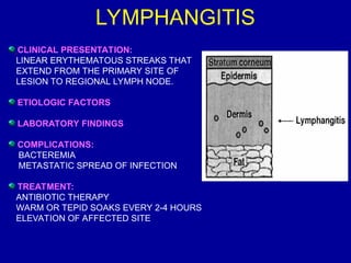 LYMPHATIC DRAINAGE OF HEAD AND NECK.,lymph fluid | PPT
