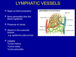 LYMPHATIC DRAINAGE OF HEAD AND NECK.,lymph fluid | PPT