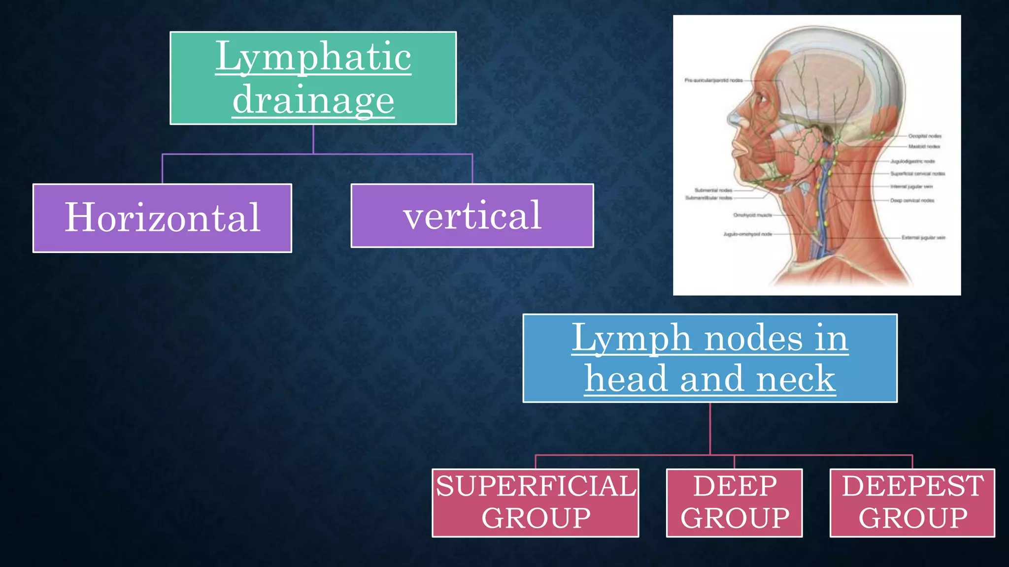 Lymphatic drainage of head and neck and its | PPTX