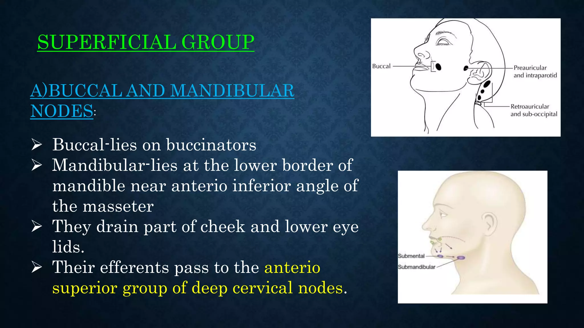 Lymphatic drainage of head and neck and its | PPTX
