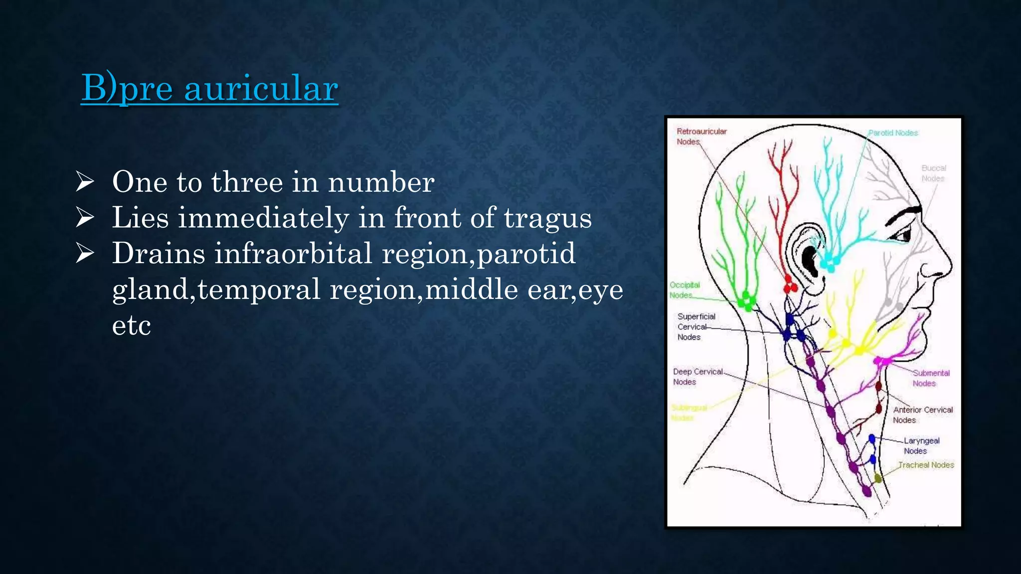 Lymphatic drainage of head and neck and its | PPTX