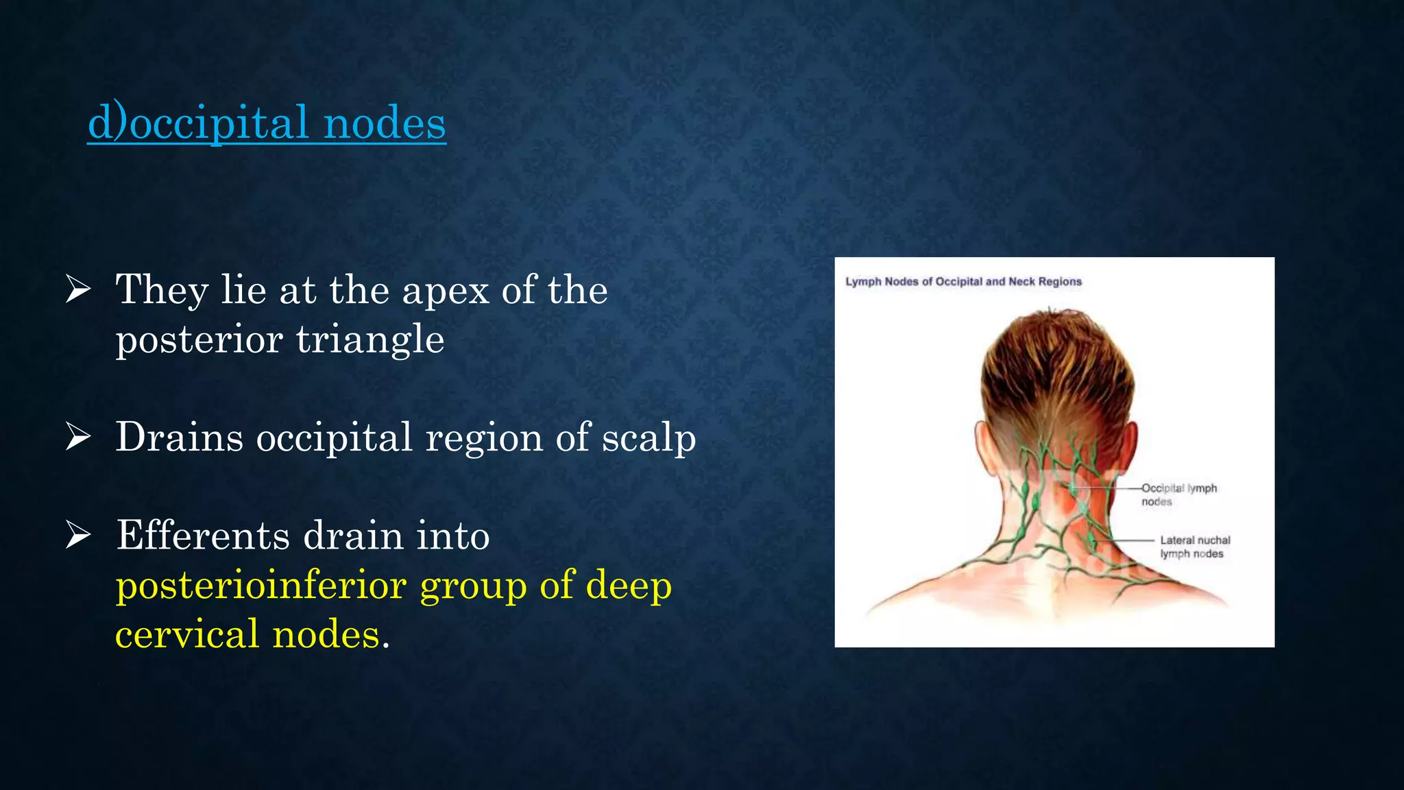 Lymphatic drainage of head and neck and its | PPTX