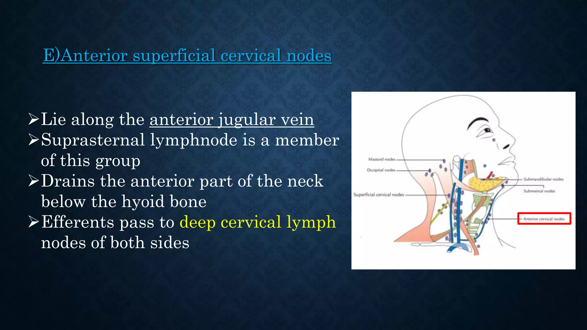 Lymphatic drainage of head and neck and its | PPTX