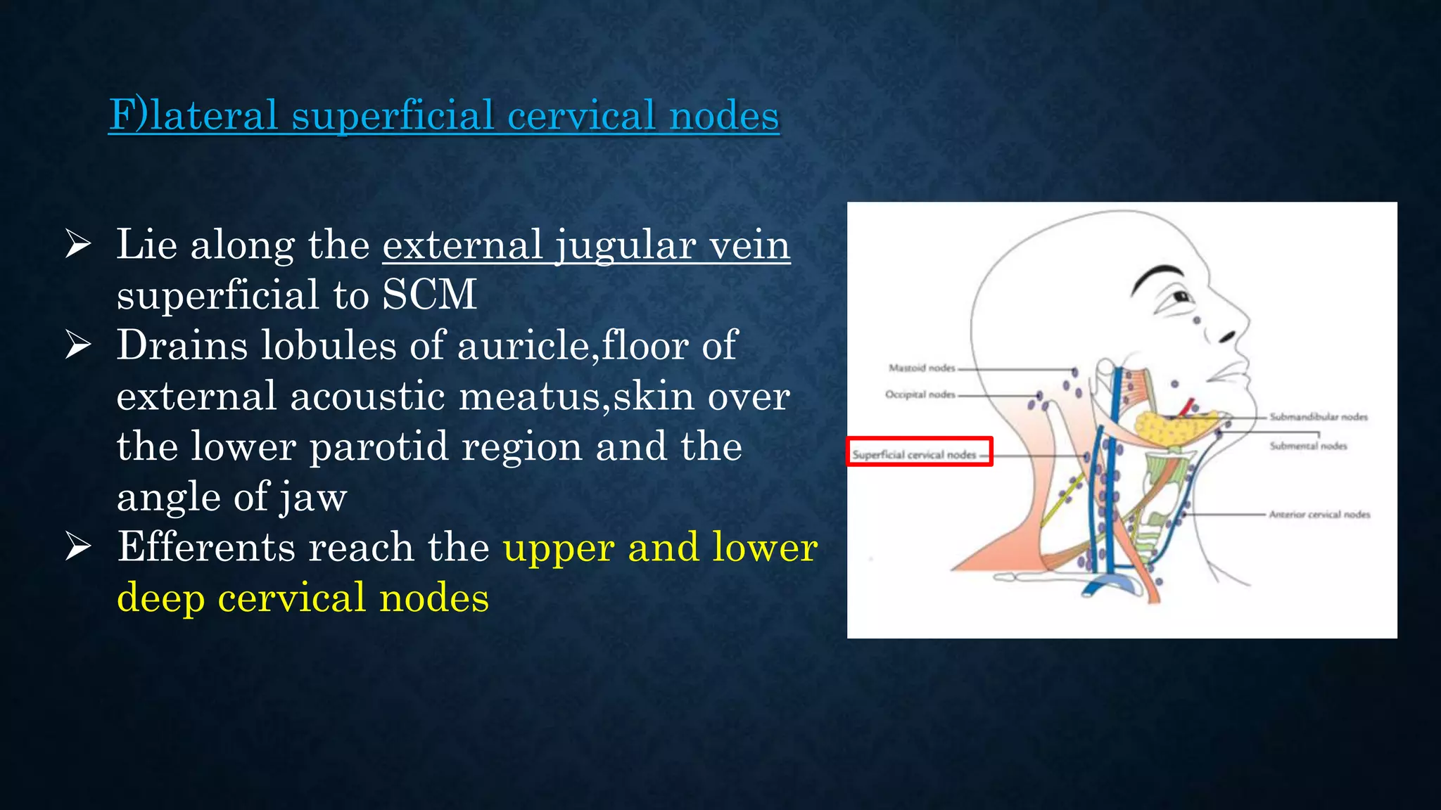 Lymphatic drainage of head and neck and its | PPTX