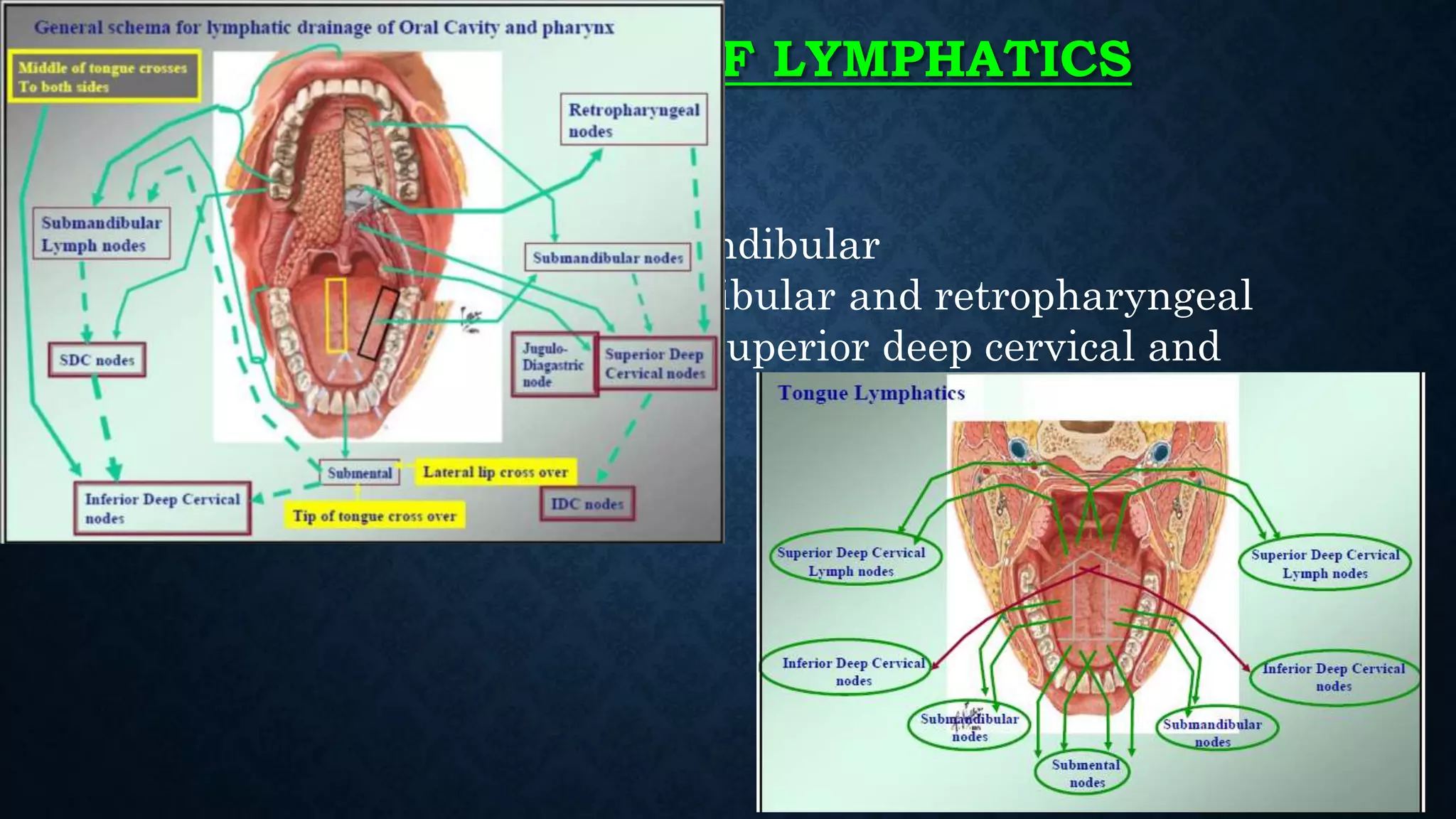 Lymphatic drainage of head and neck and its | PPTX
