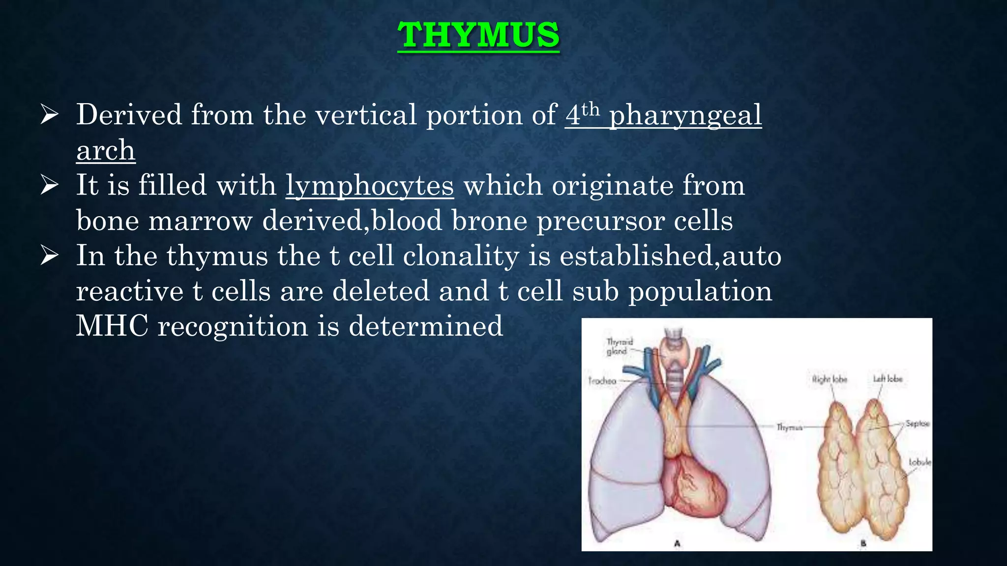Lymphatic drainage of head and neck and its | PPTX