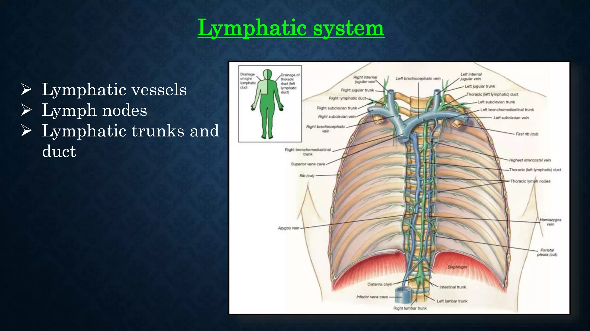 Lymphatic drainage of head and neck and its | PPTX