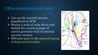 Lymphatic drainage of head and neck and its | PPTX