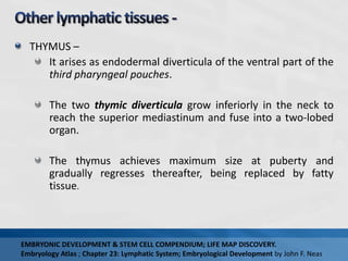 Lymphatic drainage of head & neck | PPTX