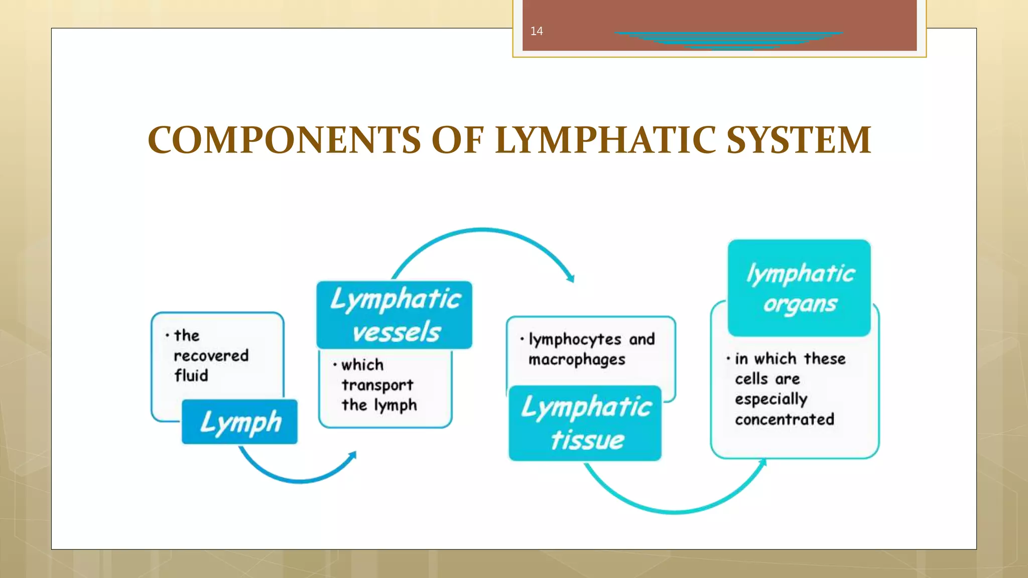 Lymphatic drainage of head & neck | PPTX | Ear, Nose and Throat ...