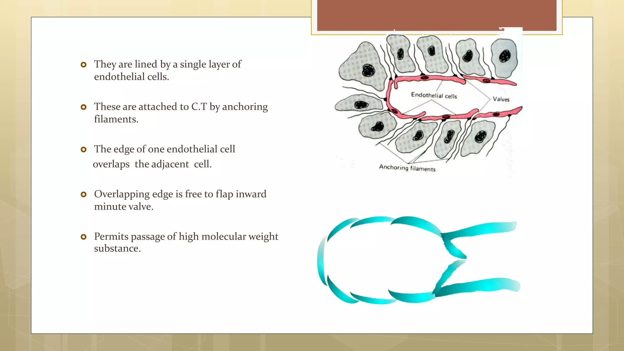 Lymphatic drainage of head & neck | PPTX | Ear, Nose and Throat ...