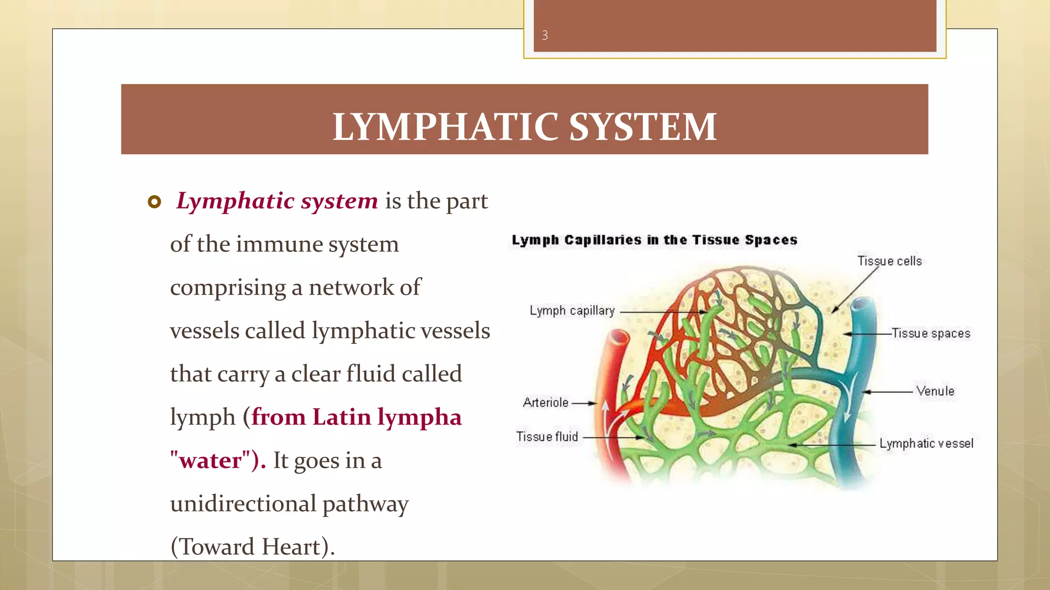 Lymphatic drainage of head & neck | PPT