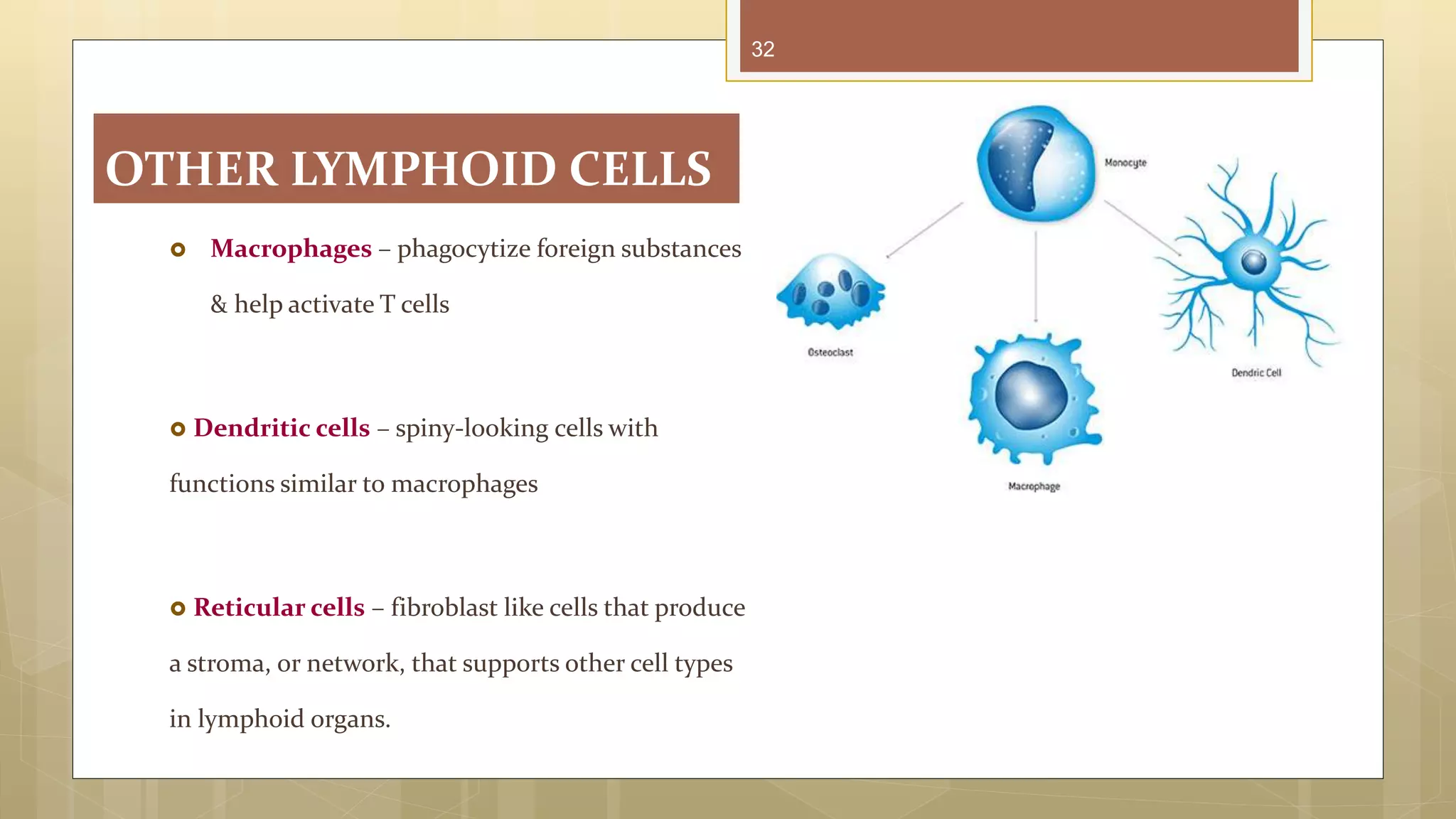 Lymphatic drainage of head & neck | PPTX | Ear, Nose and Throat ...