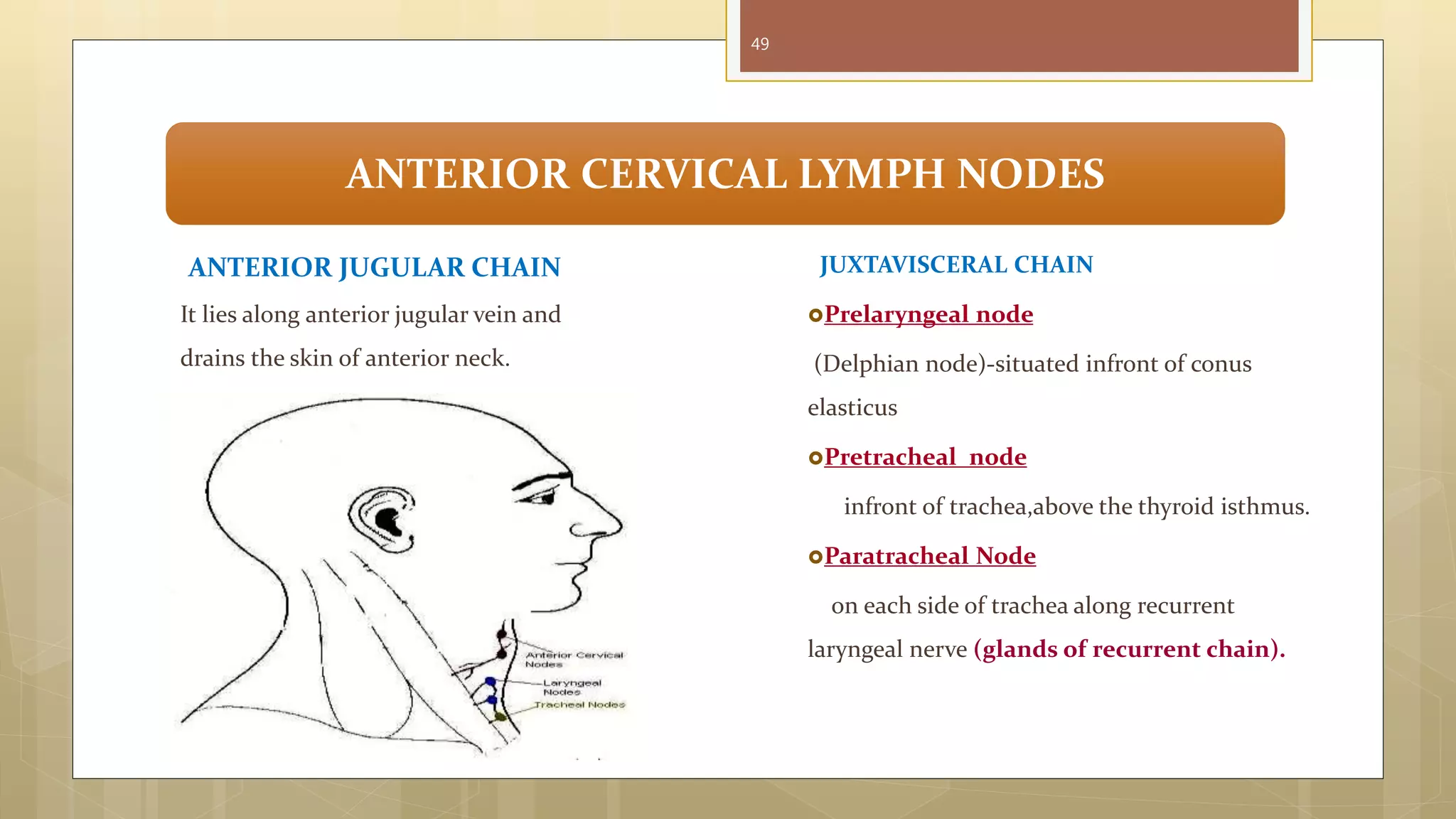 Lymphatic drainage of head & neck | PPTX