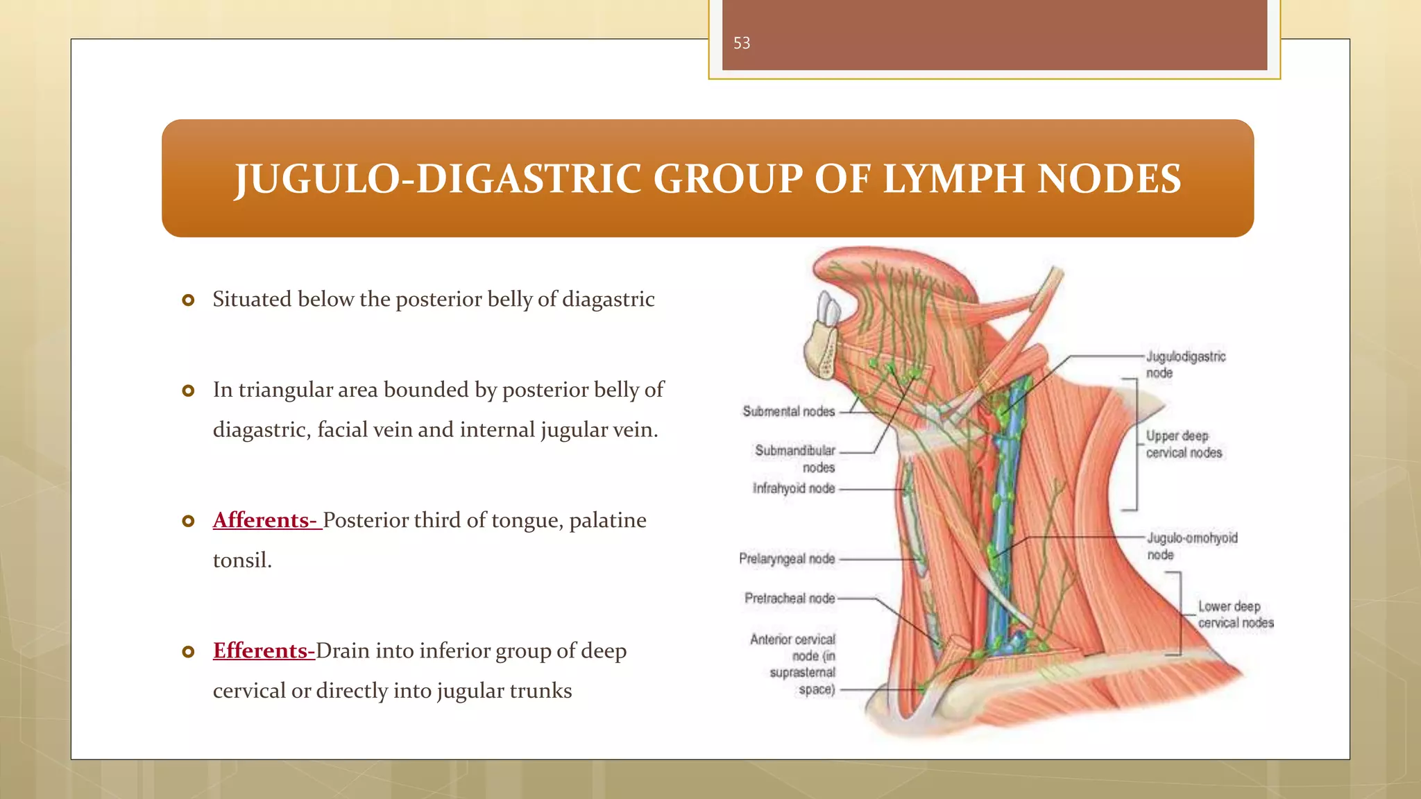 Lymphatic drainage of head & neck | PPTX
