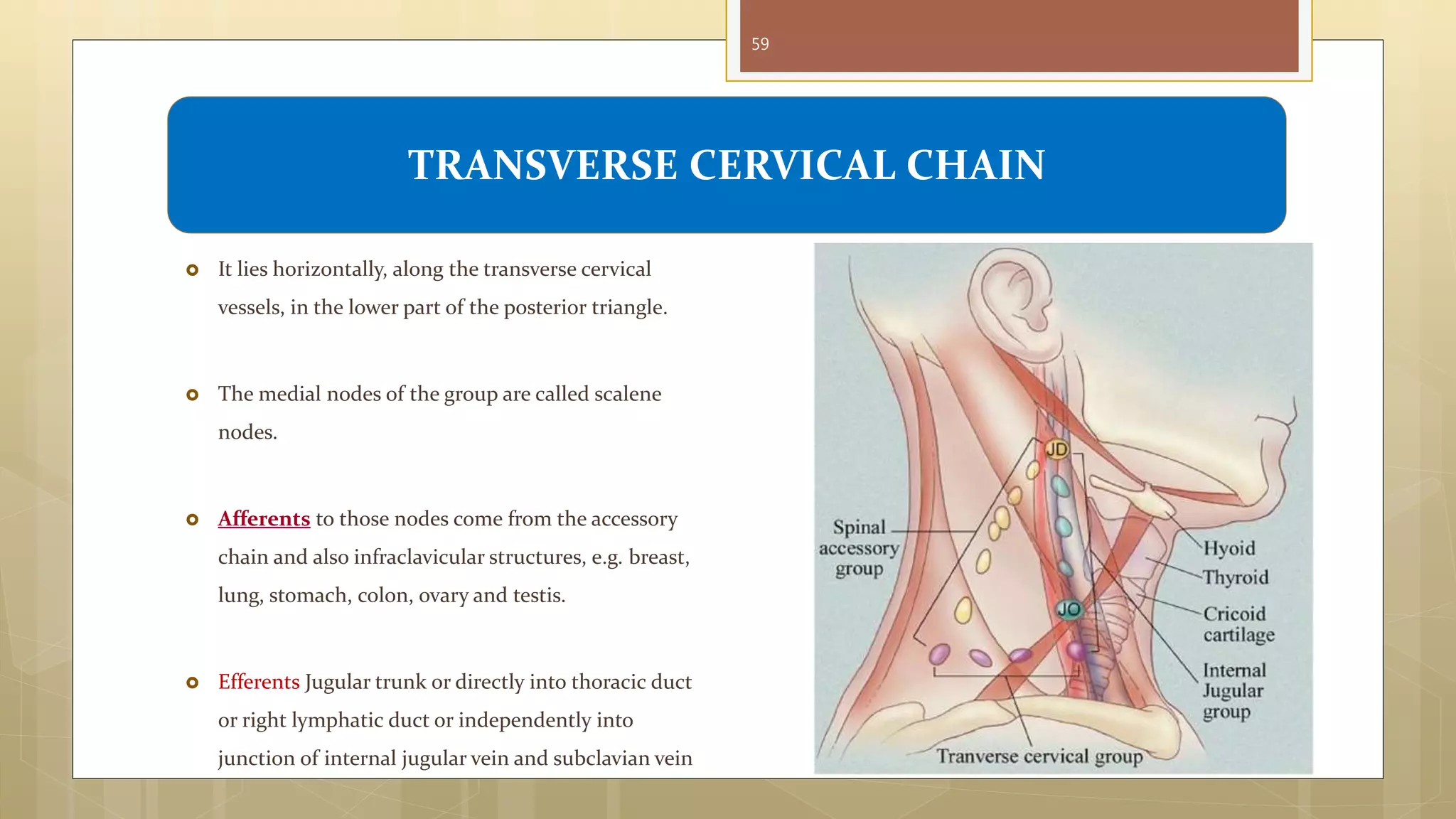 Lymphatic drainage of head & neck | PPTX