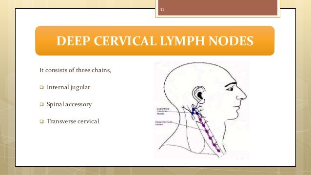 Lymphatic drainage of head & neck