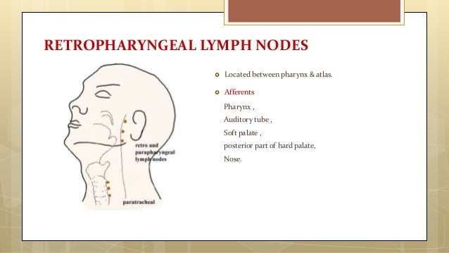 Lymphatic drainage of head & neck