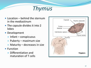 Lymphatic drainage of head & neck | PPTX