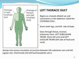 Lymphatic drainage of head & neck | PPTX
