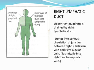 Lymphatic drainage of head & neck | PPTX