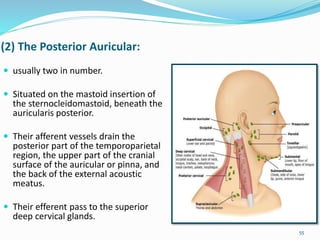 Lymphatic drainage of head & neck | PPTX