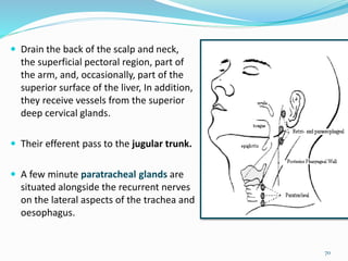 Lymphatic drainage of head & neck | PPTX