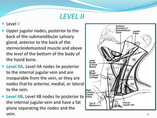 Lymphatic drainage of head & neck | PPTX