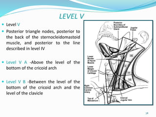 Lymphatic drainage of head & neck | PPTX