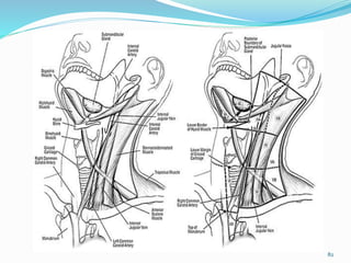 Lymphatic drainage of head & neck | PPTX
