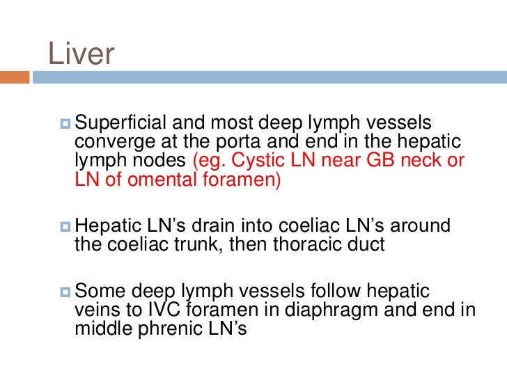 Figure 1 Anatomy Of Penile Lymph Node Drainage