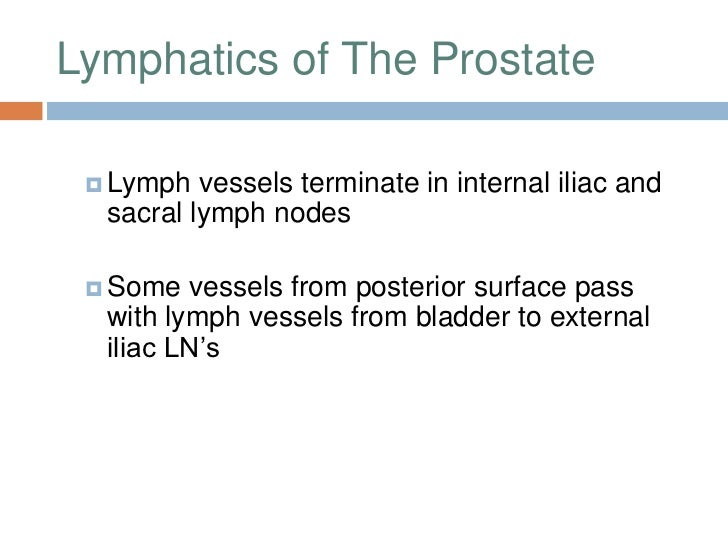 Figure 1 Anatomy Of Penile Lymph Node Drainage