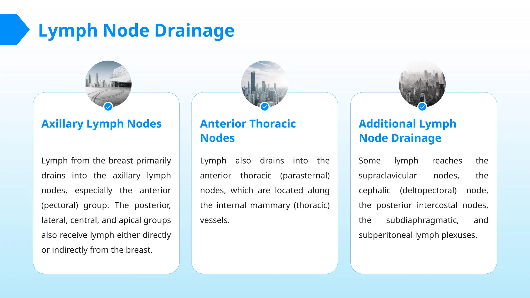 Lymphatic Drainage of the Breast_AI PPT Maker.pptx