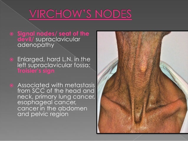 Lymphatic drainage of the head and neck