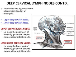 lymphatic_dra_of_head_nec..pptx
