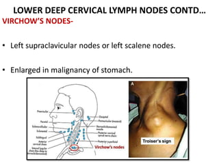 lymphatic_dra_of_head_nec..pptx