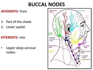 lymphatic_dra_of_head_neck.pptx