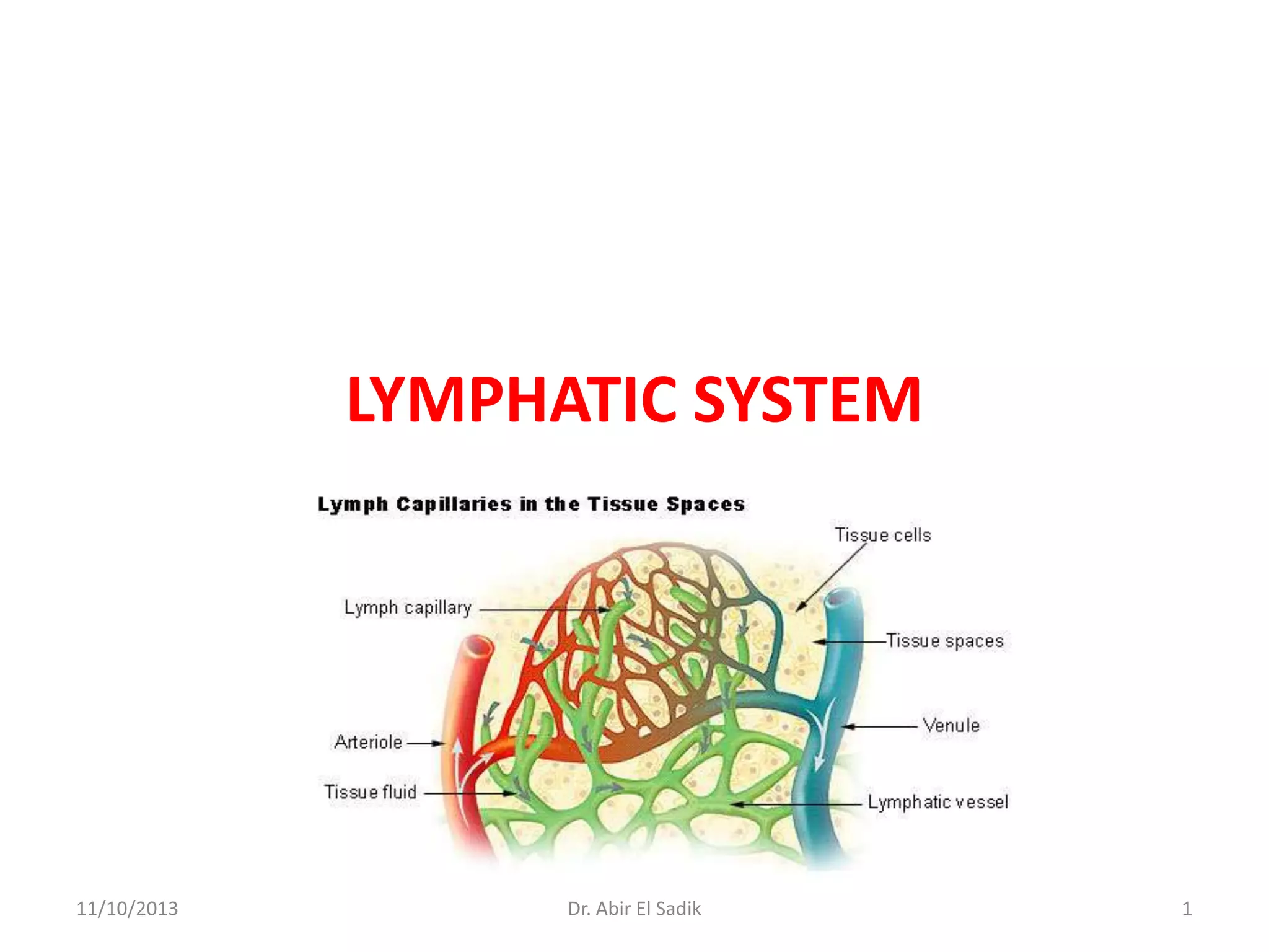 Lymphatic & Endocrine systems - Anatomy | PPTX