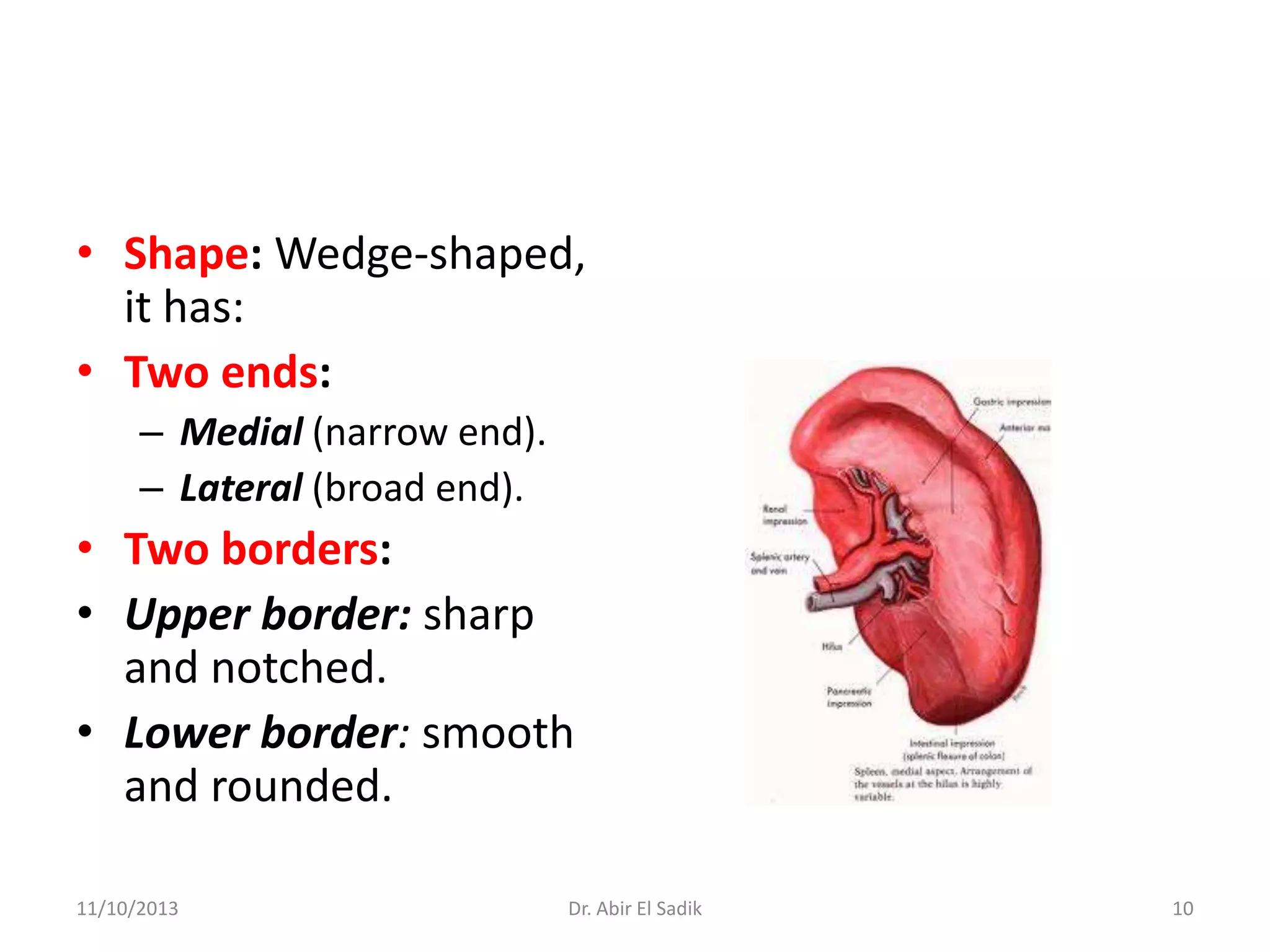 Lymphatic & Endocrine systems - Anatomy | PPTX