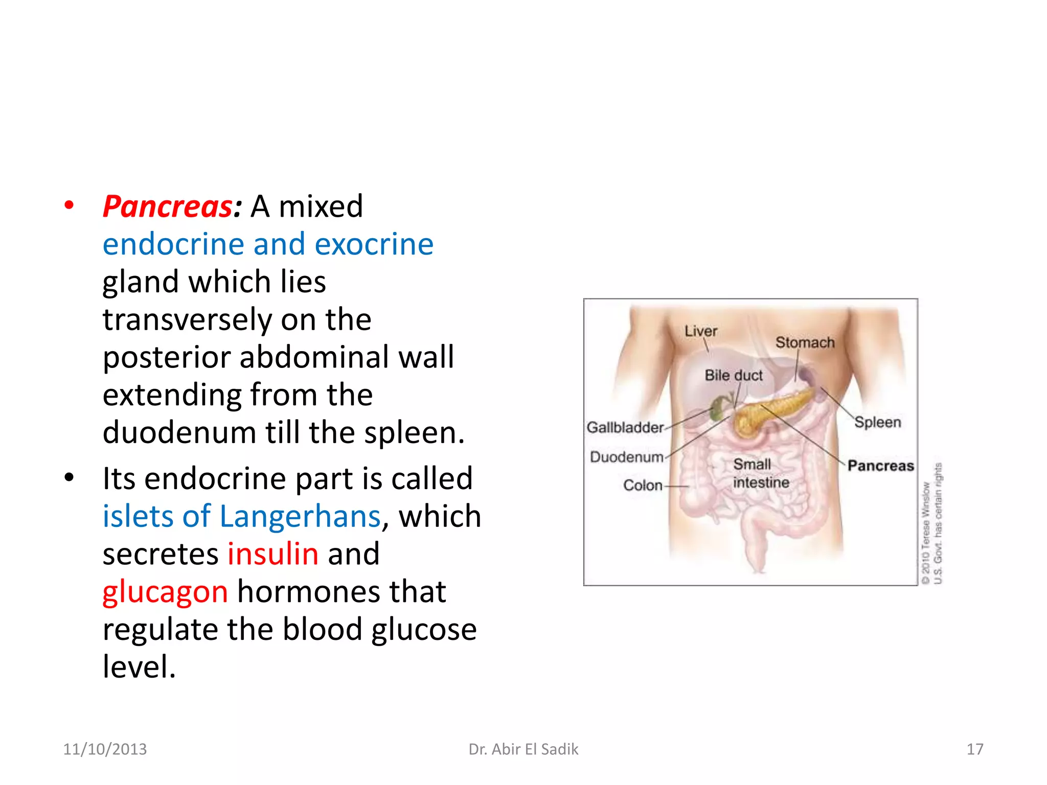 Lymphatic & Endocrine systems - Anatomy | PPTX