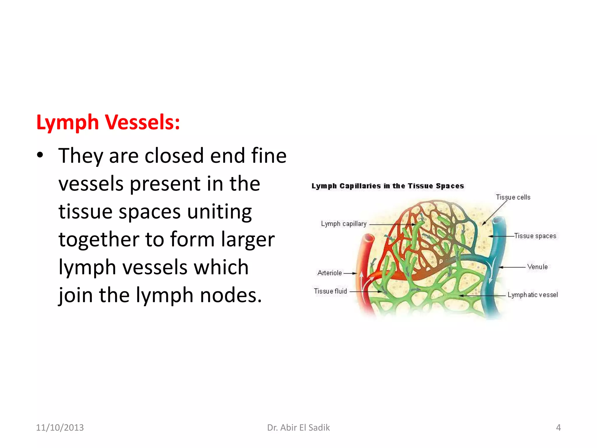 Lymphatic & Endocrine systems - Anatomy | PPTX