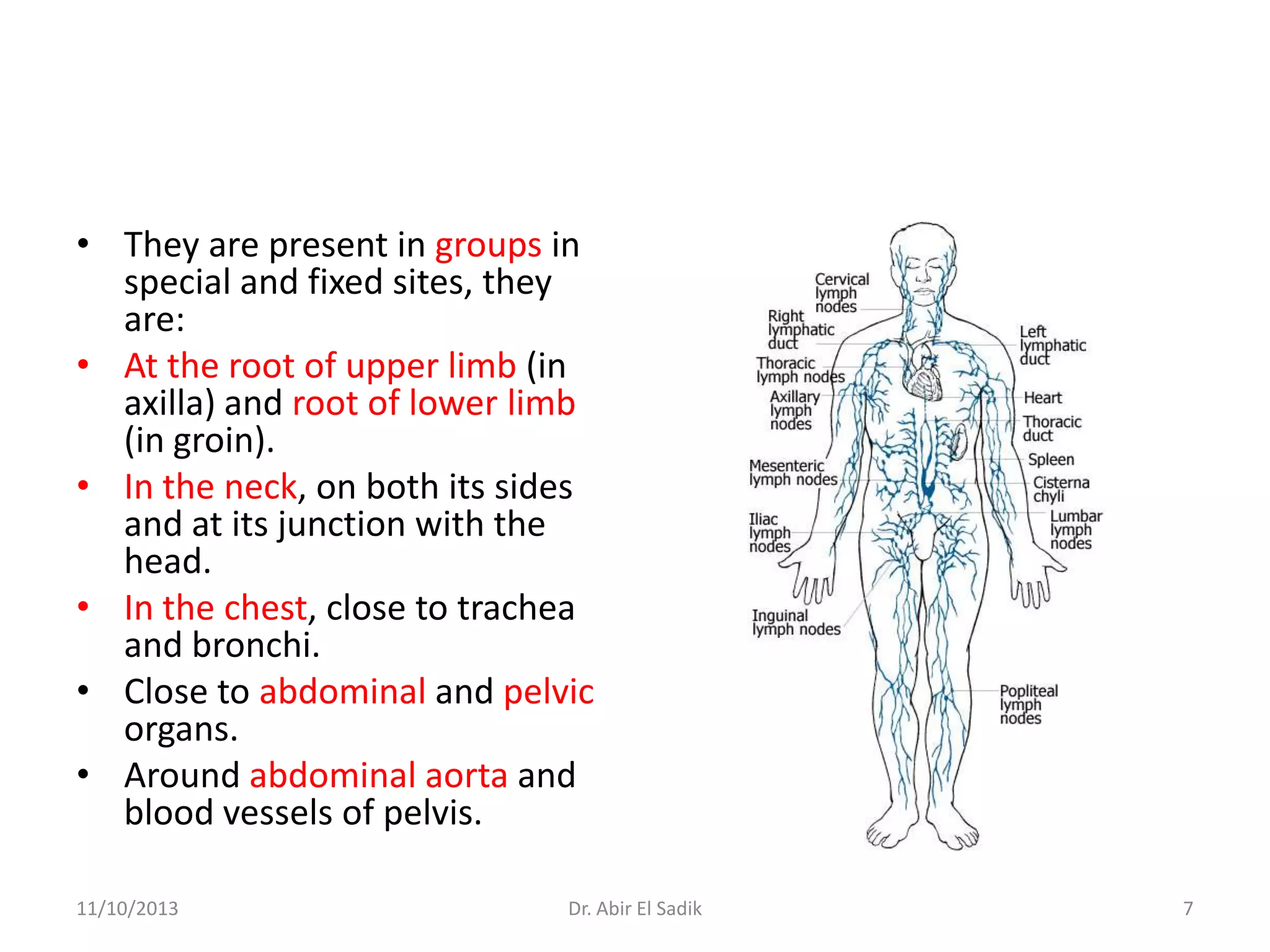 Lymphatic & Endocrine systems - Anatomy | PPTX