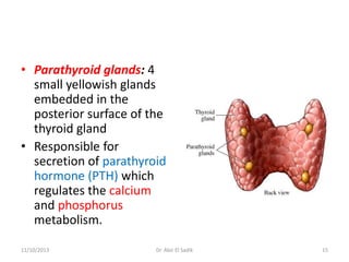 Lymphatic & Endocrine systems - Anatomy | PPT